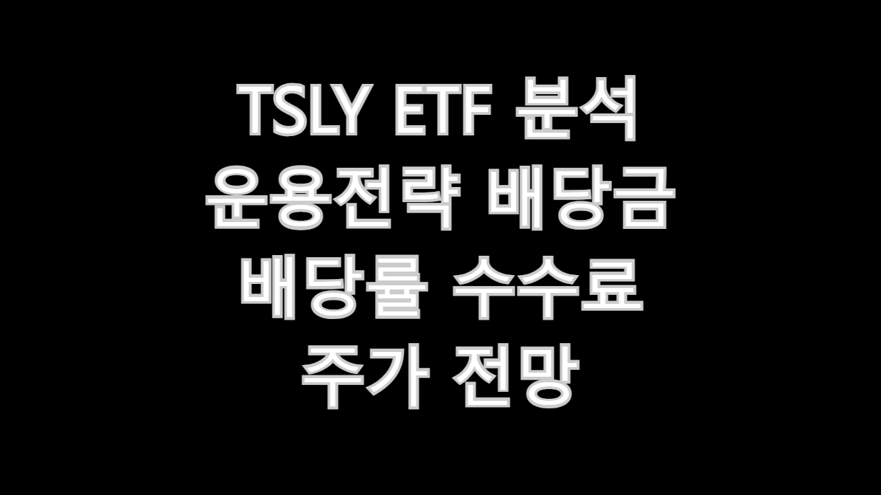 TSLY ETF 분석 운용전략 배당금 배당률 수수료 주가 전망 1억 투자 예상
