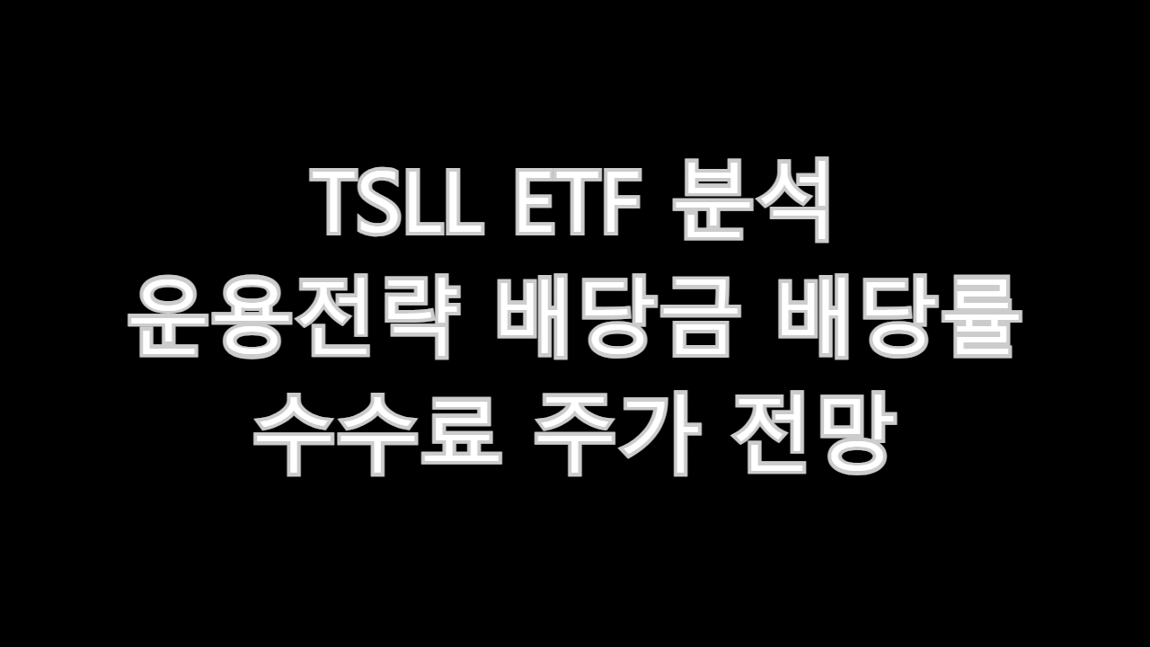 TSLL ETF 분석 운용전략 배당금 배당률 수수료 주가 전망 1억 투자 예상